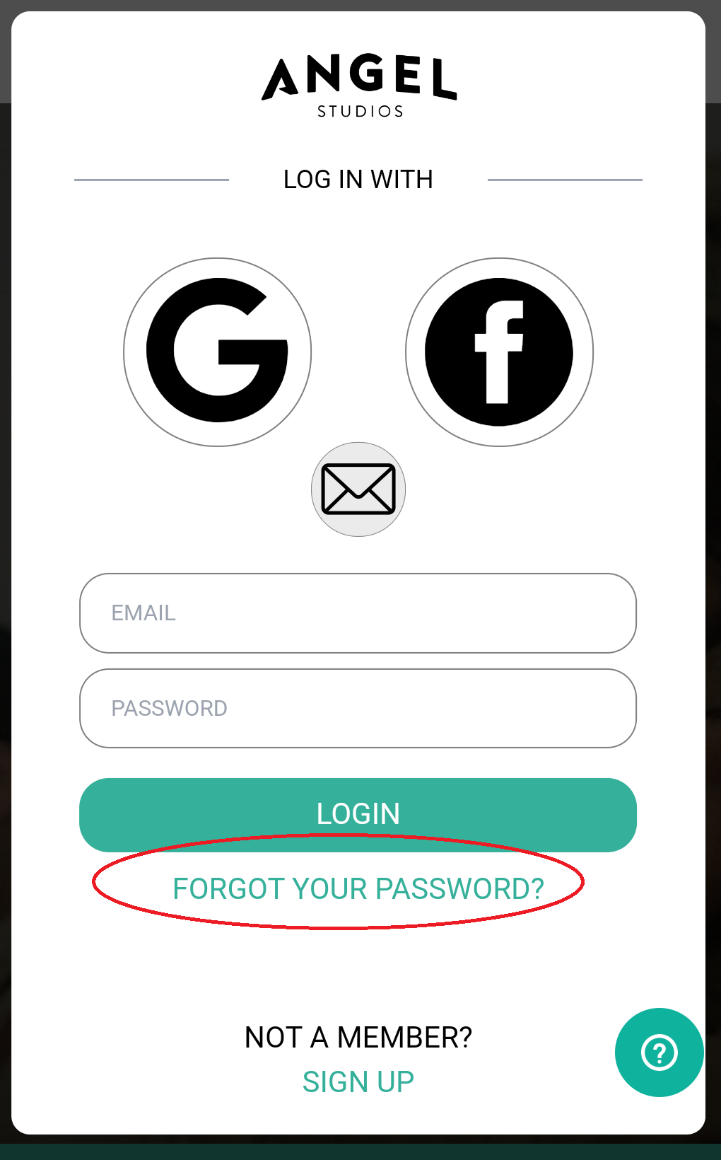 How Do I Change my Password? – Angel Studios