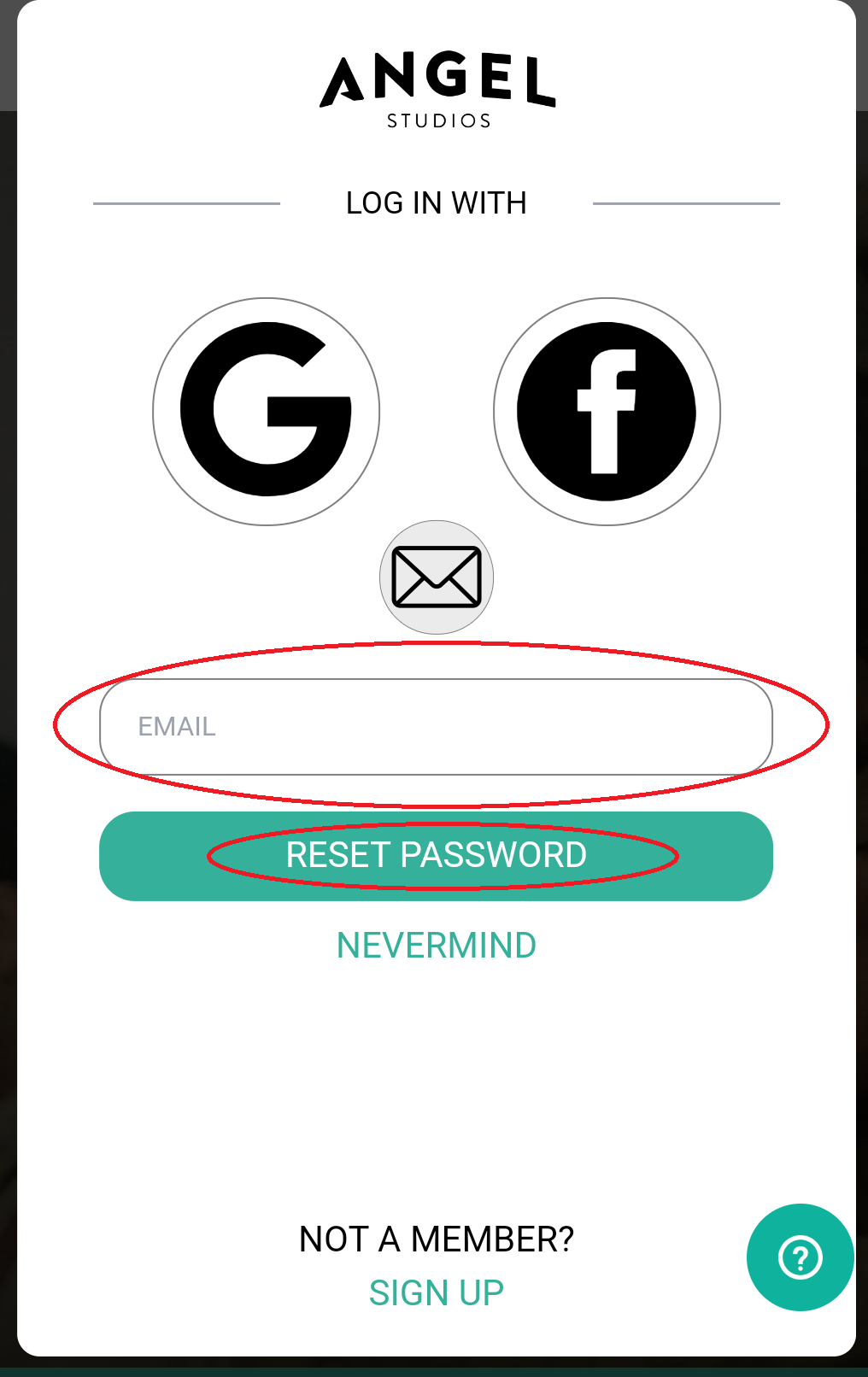 How Do I Change my Password? – Angel Studios